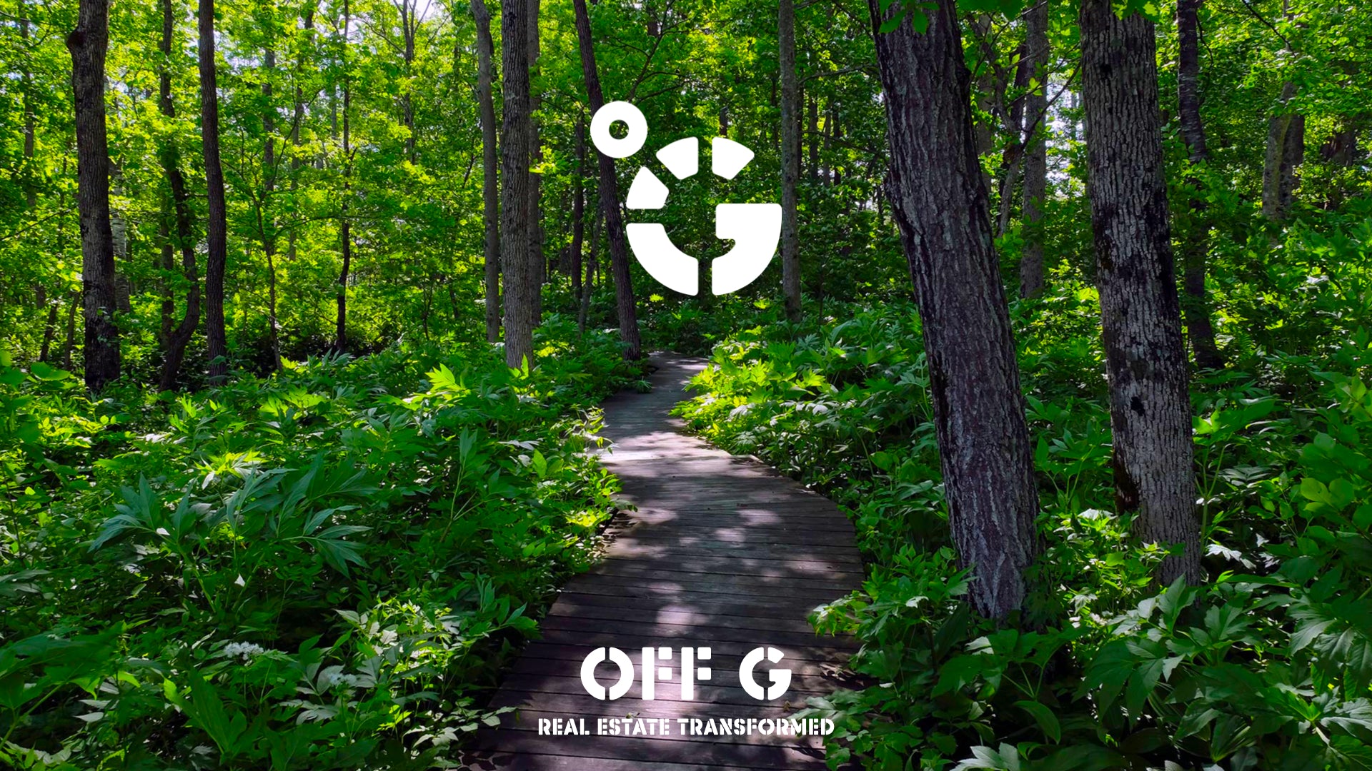 McGOVERN & CO WITH OFF G. NATURE'S ART OFF GRID – McGovernCo